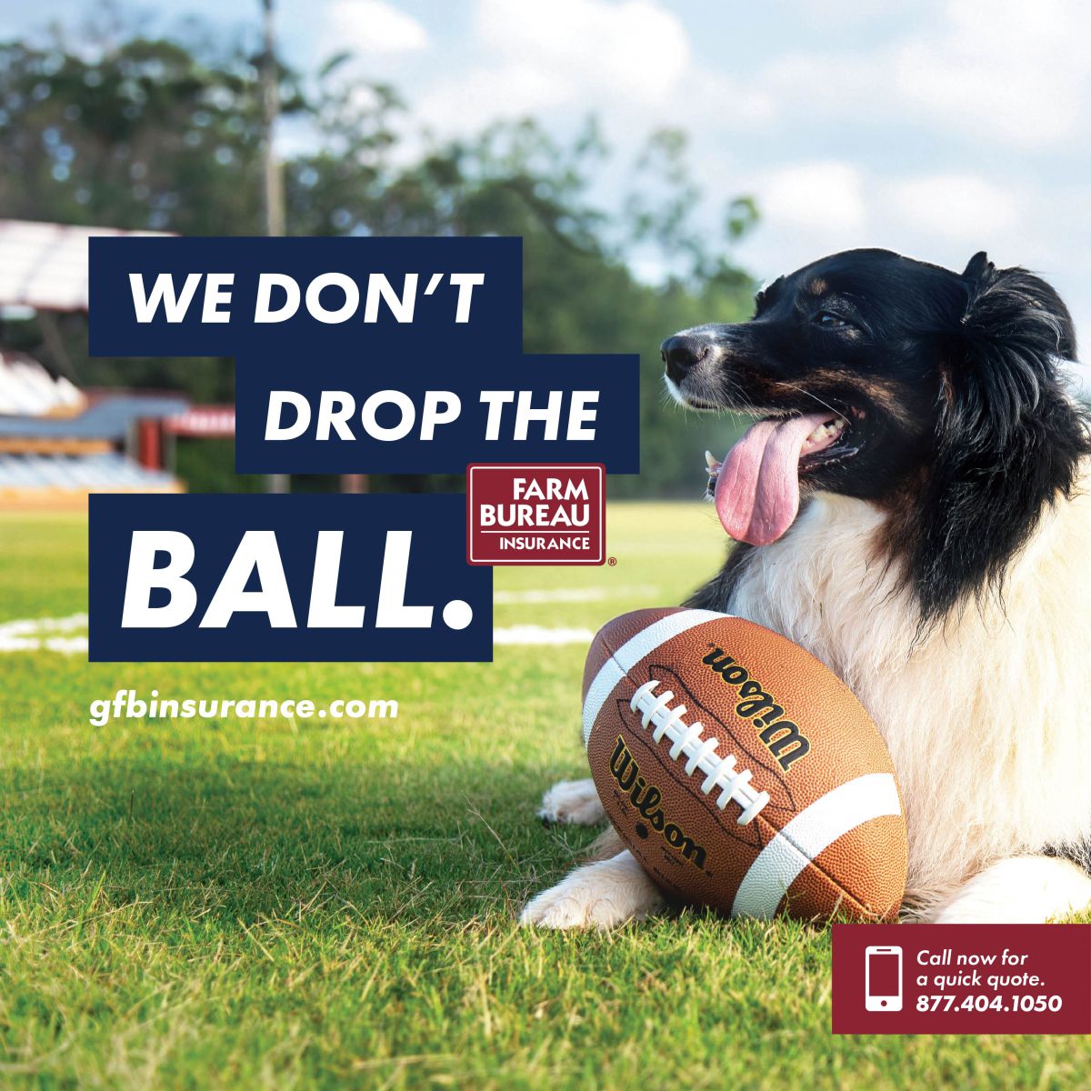 Don't Drop the Ball - Georgia Farm Bureau